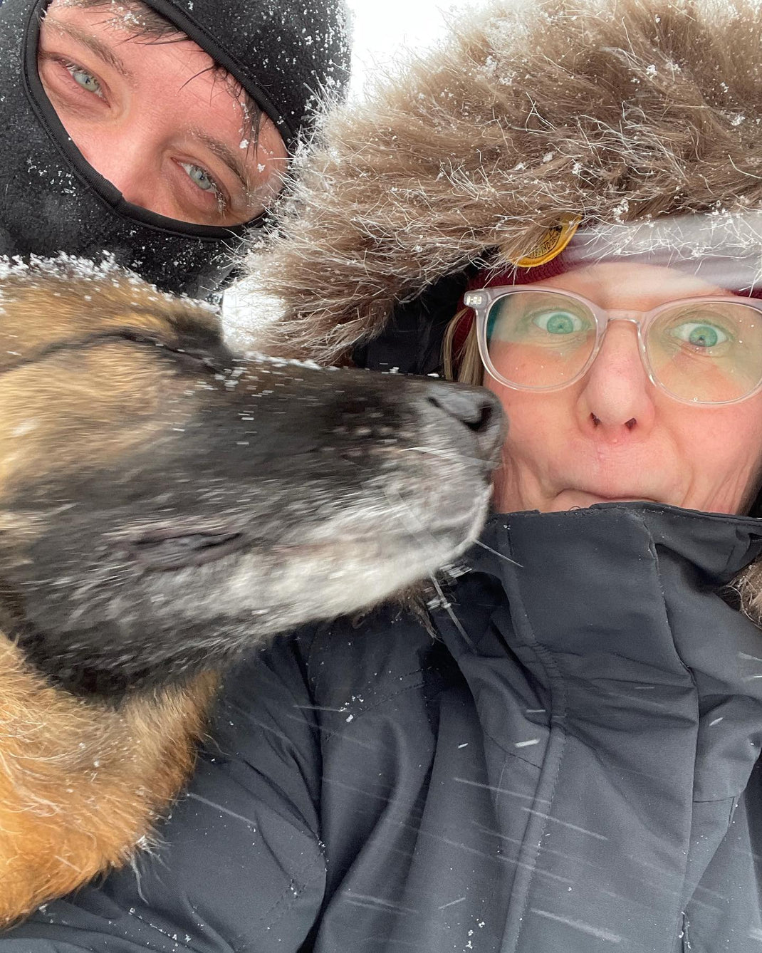 Keen Bee Studio Librarian Tshirts